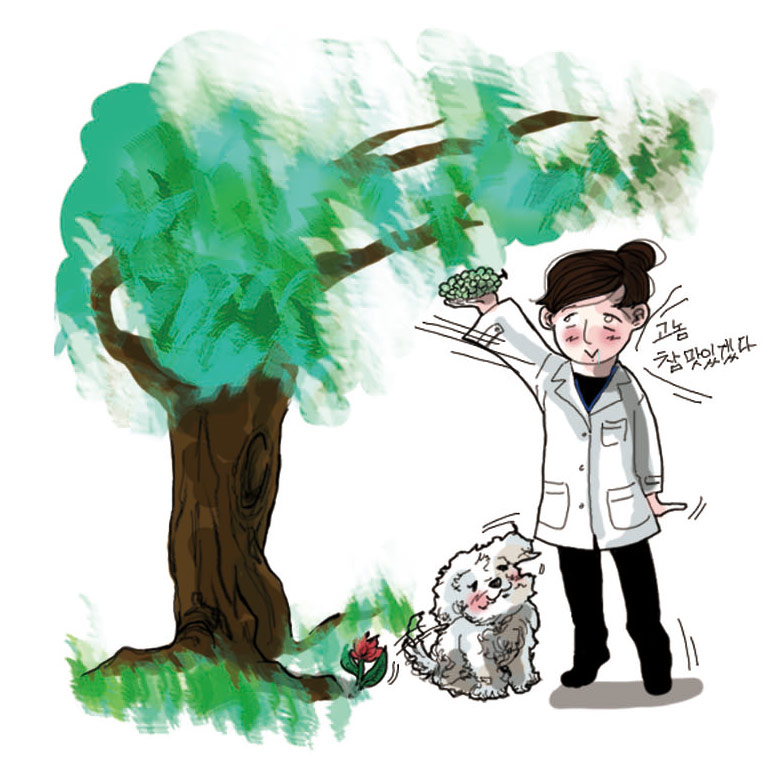 숨 참으세요 - 22. X-Ray (방사선) 下 - WITH KRTA